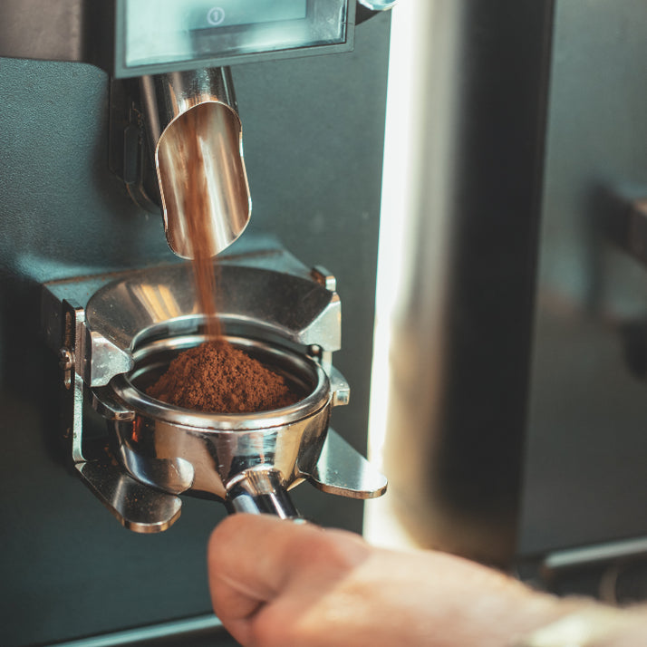 Roasting — Sprout Coffee Roasters