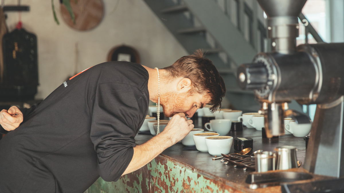 Quality control — Sprout Coffee Roasters